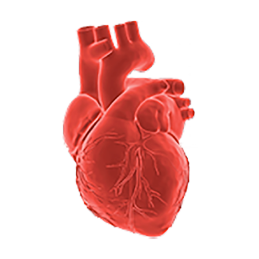 Faculty – Kansas City Heart Rhythm Symposium